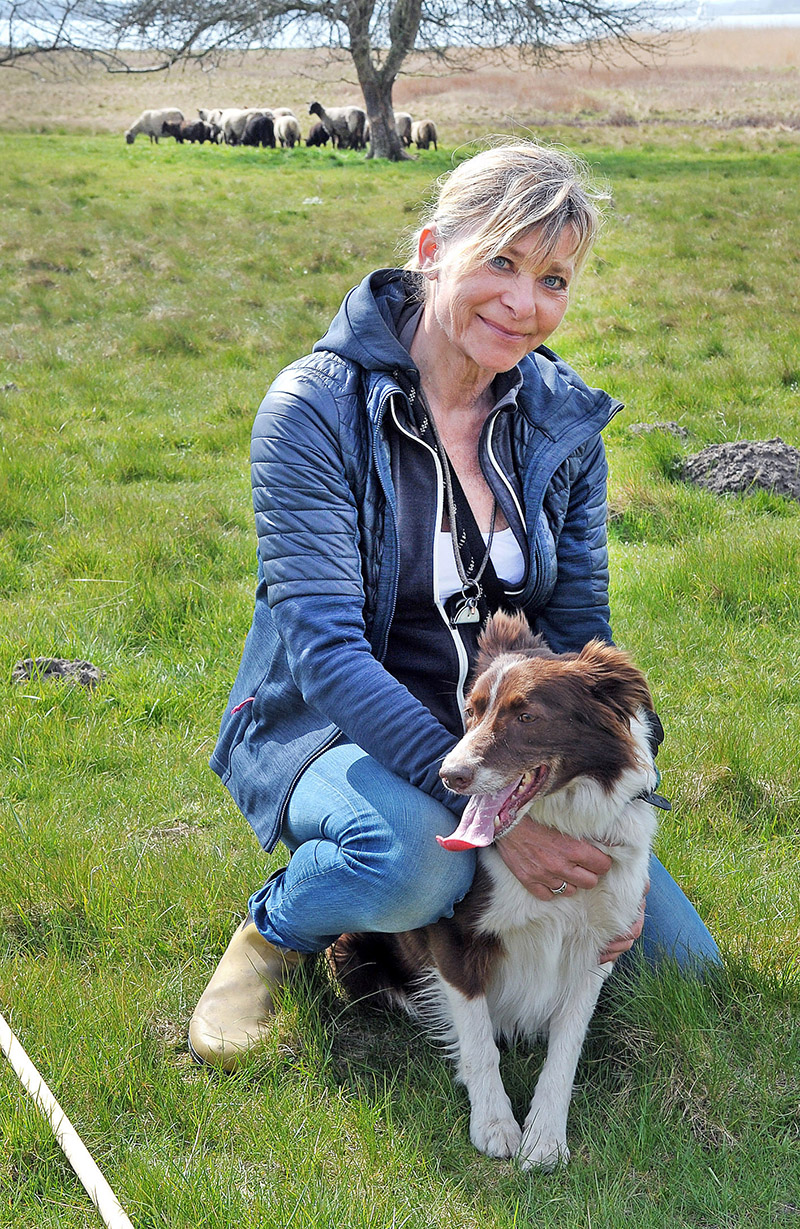 gitte hund 4 – Hornsherred Lokalavis
